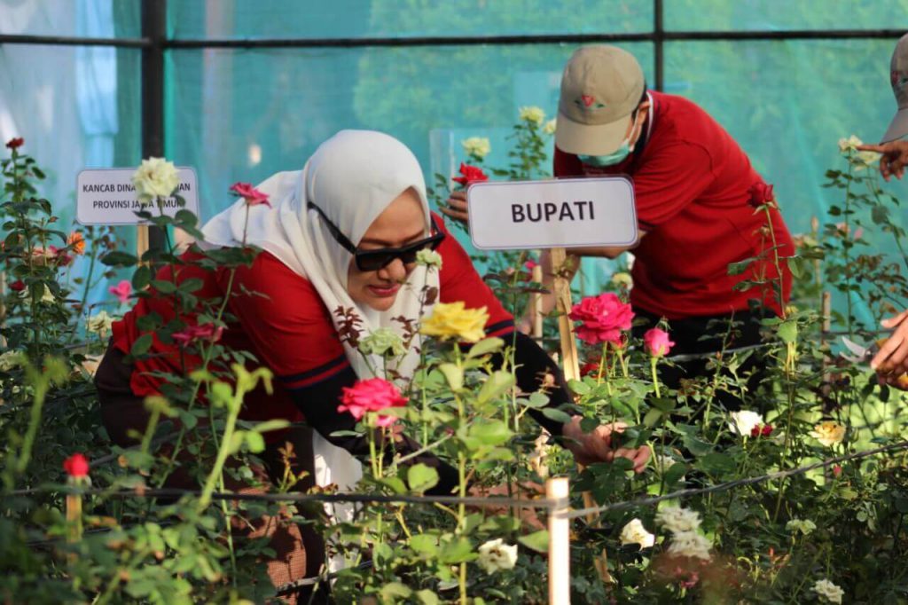 DKPP Bojonegoro Launching Kebun Mawar di Margomulyo